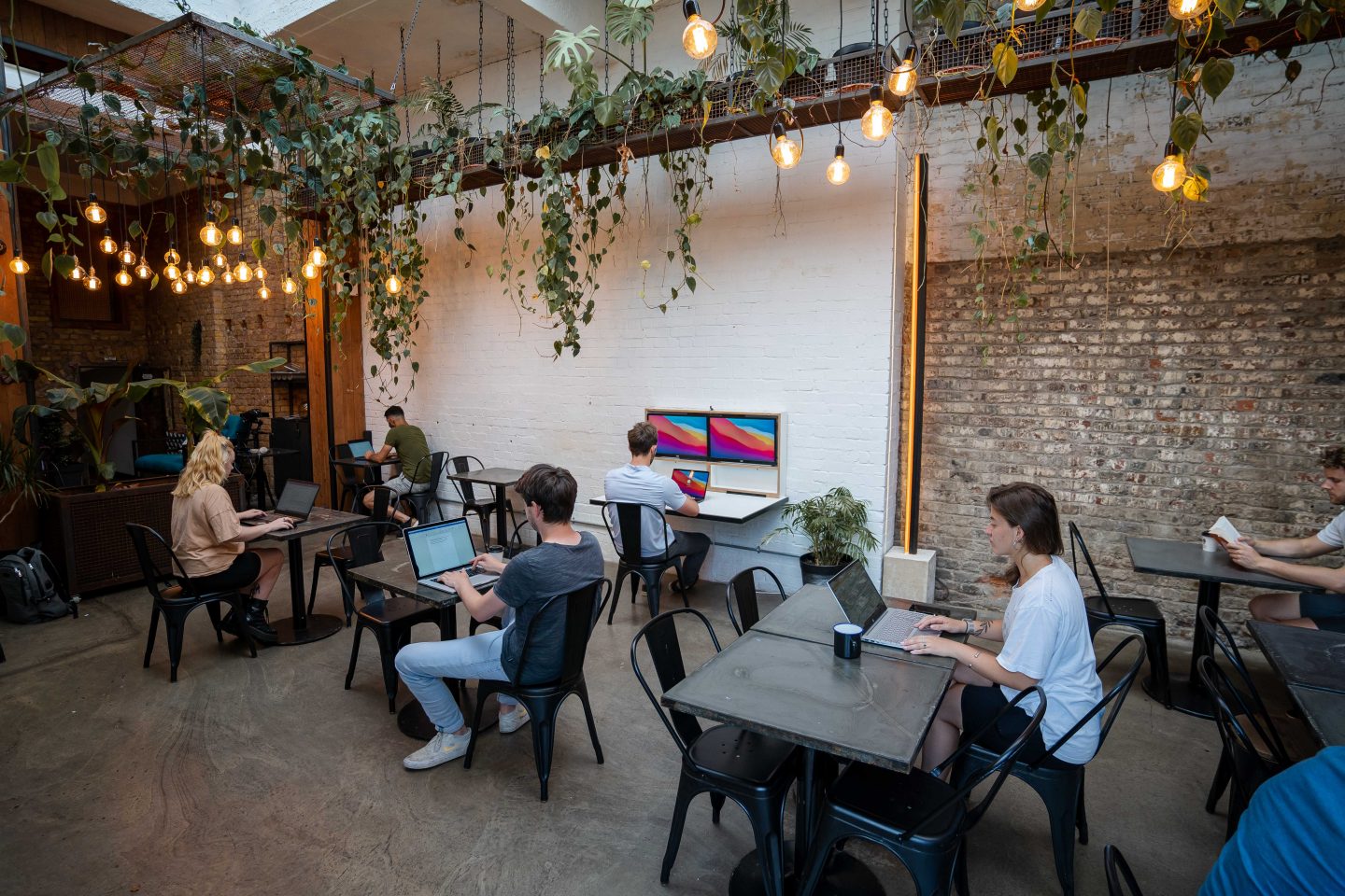 Hertfordshire-based Pith & Stem Launch Environmentally Friendly Home ...