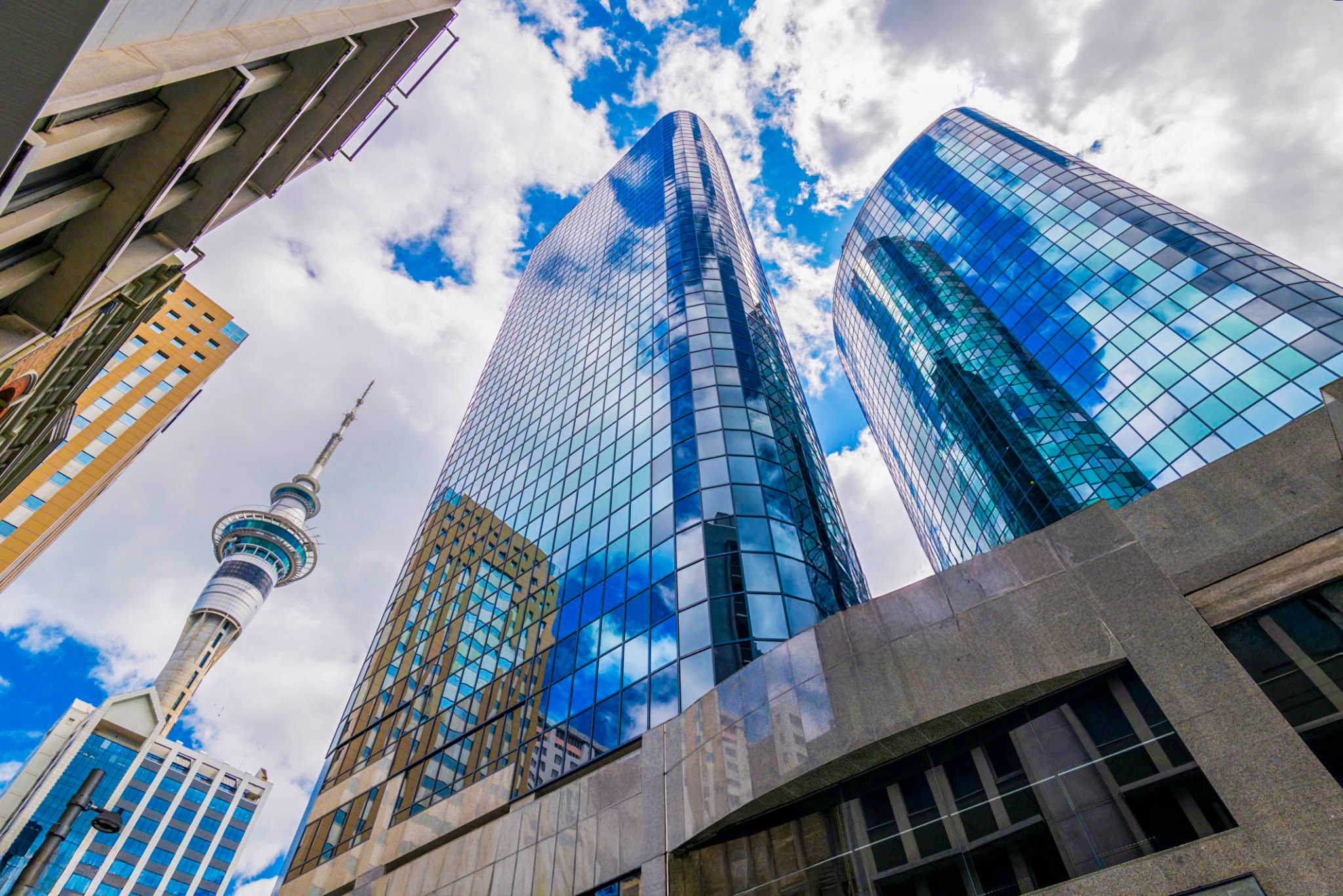 Cautious Confidence Grows Among NZ Employers as AI and Workforce Trends ...