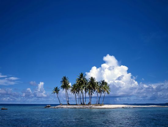 Chasen Nevett Expands Climate Resilience and Green Transition ...